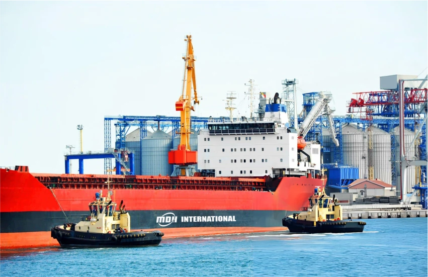 Maritime Logistics - MDH International